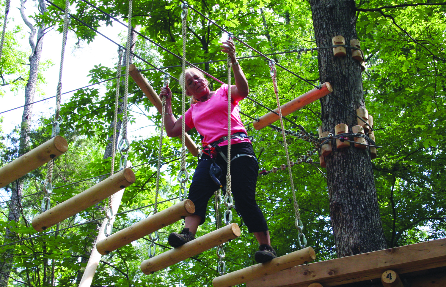 Carolina Treetop Challenge opens | The Stanly News & Press
