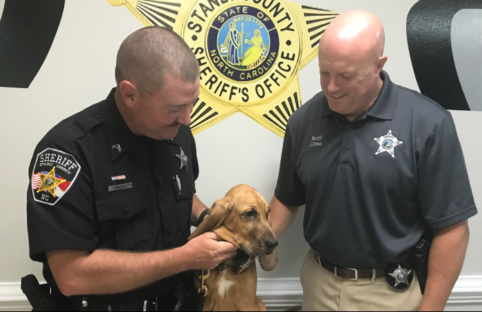 Sheriff’s Office acquires new bloodhound | The Stanly News & Press