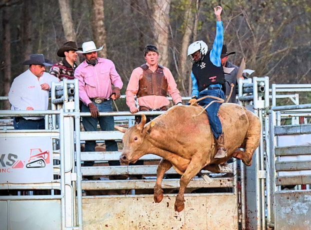 Randy Travis, brother Ricky to headline bull riding event | The Stanly ...