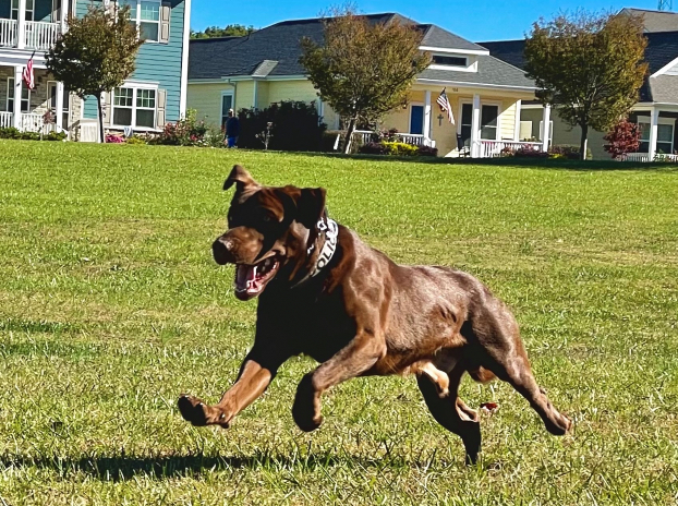 Locust Police welcomes its newest officer, a K-9 named Rico | The ...