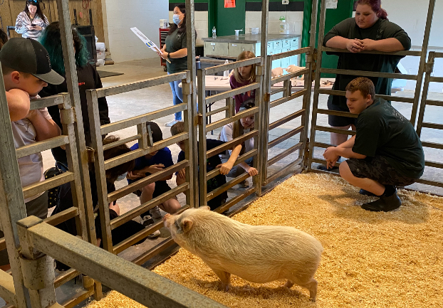 West Stanly FFA members welcome back elementary students to Ag Day ...