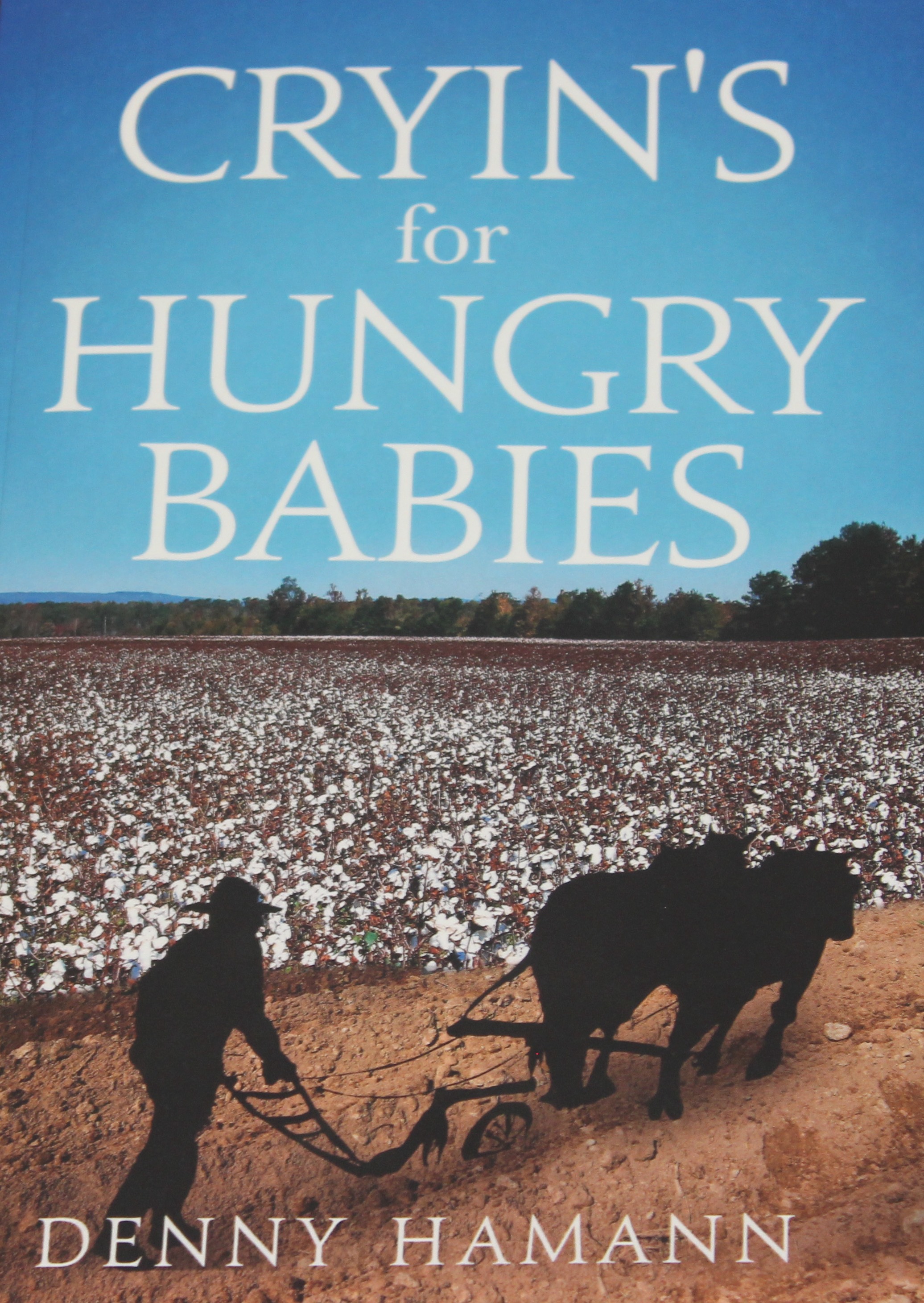 Inspired by ancestor, Hamann pens historical novel about a family’s ...