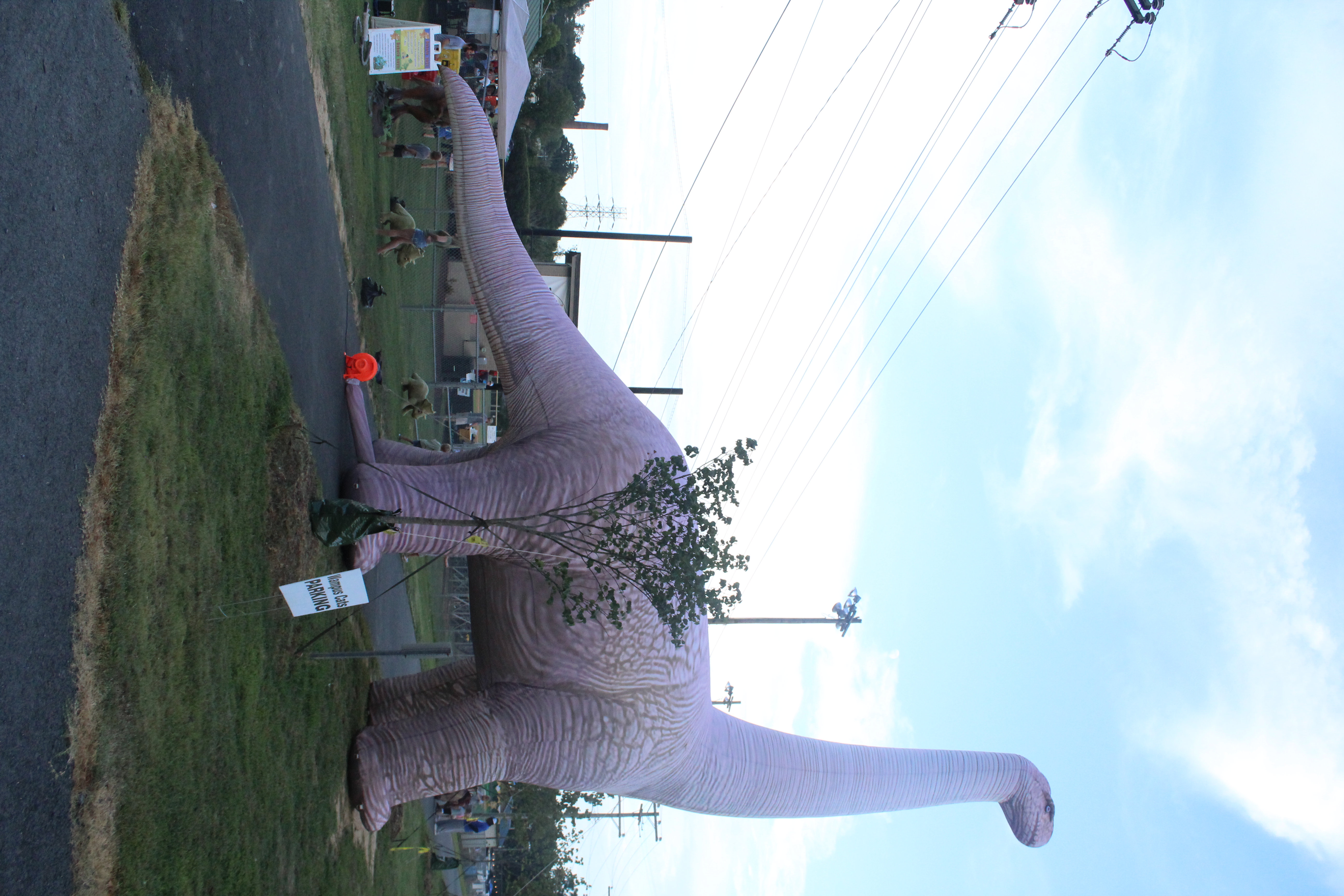 Uwharrie Wampus Cats wrap up season, look forward - The Stanly News ...