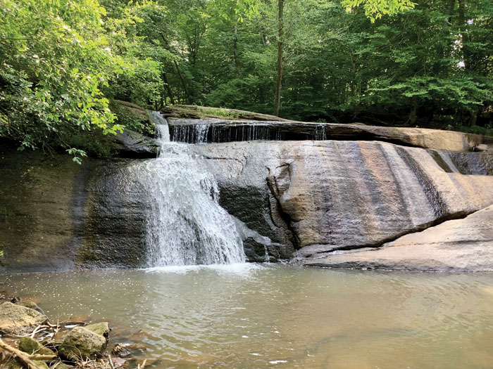 David Freeze: State park visits begin | The Stanly News & Press